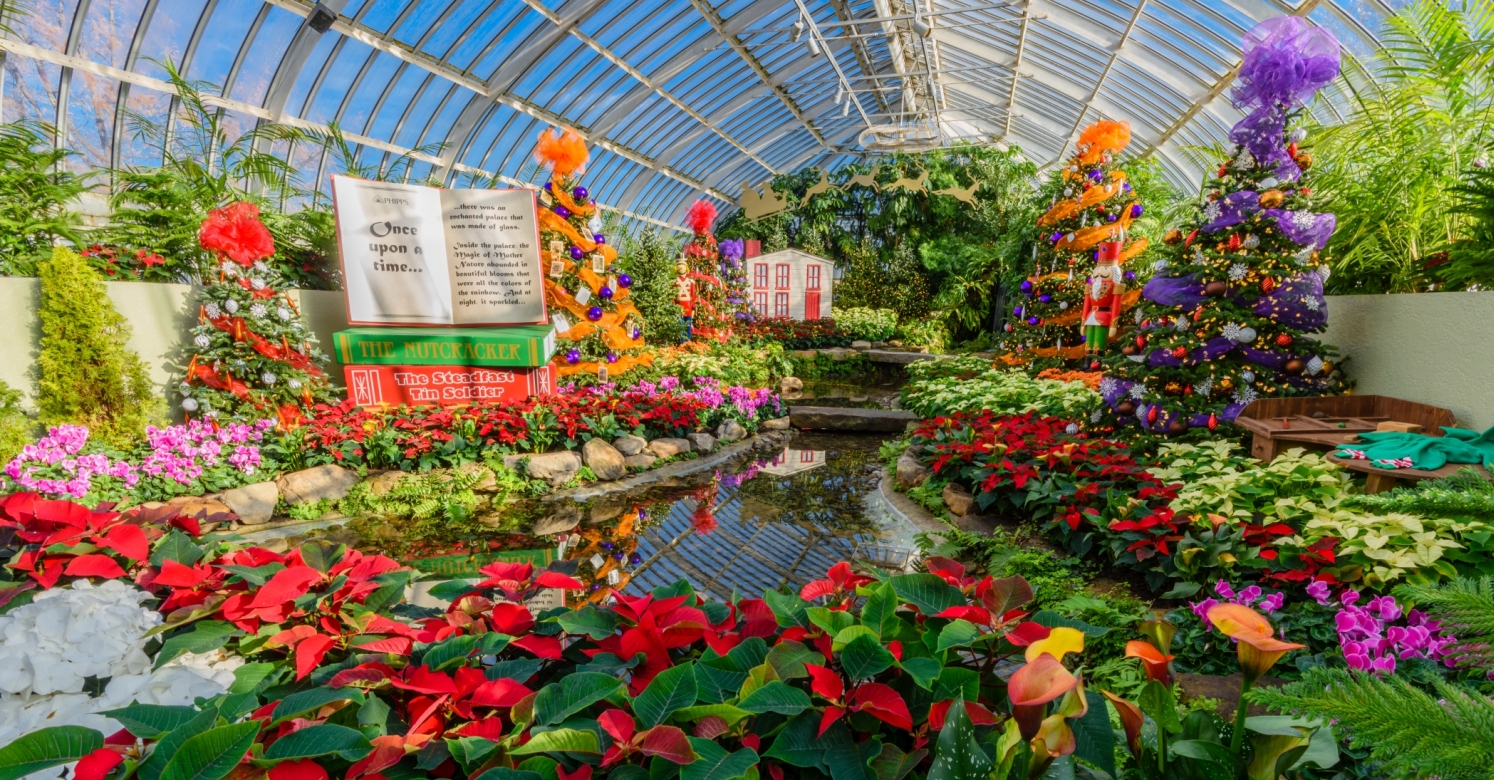 This Week at Phipps: Dec. 11 – 17 | Phipps Conservatory and Botanical ...