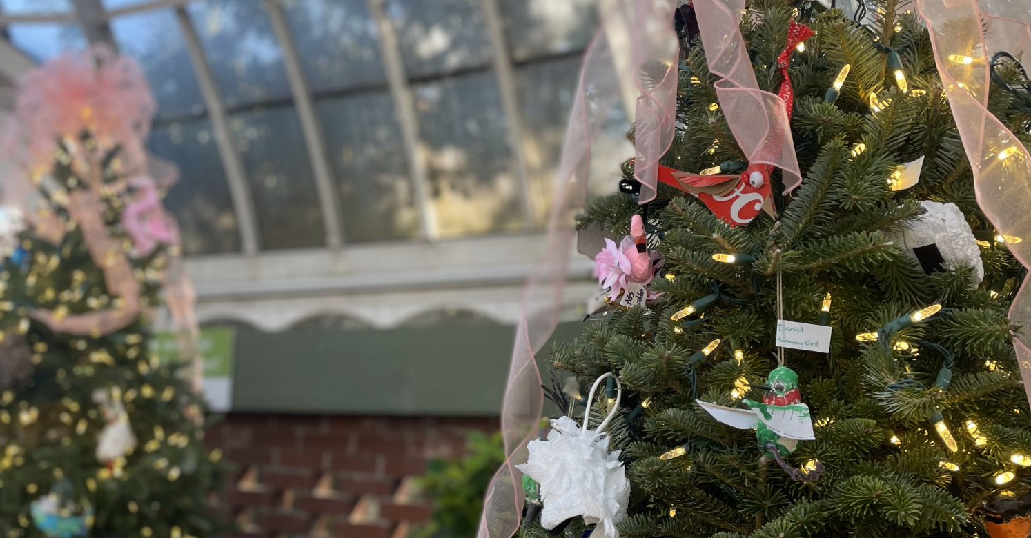 Fairchild Challenge at Phipps: Challenge #1 Winners Announced! | Phipps ...