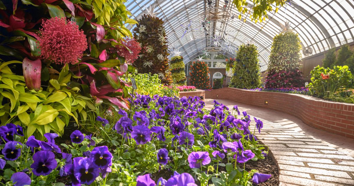 This Week at Phipps: Dec. 4 – 10 | Phipps Conservatory and Botanical ...