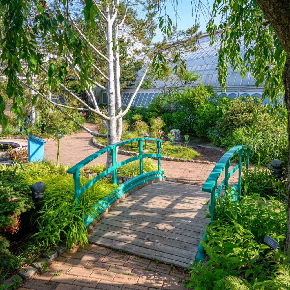 Blog | Phipps Conservatory and Botanical Gardens | Pittsburgh PA