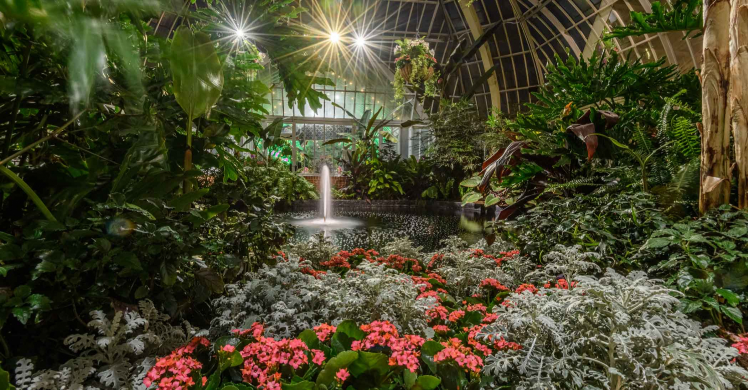 This Week at Phipps: Feb. 7 – 13 | Phipps Conservatory and Botanical ...