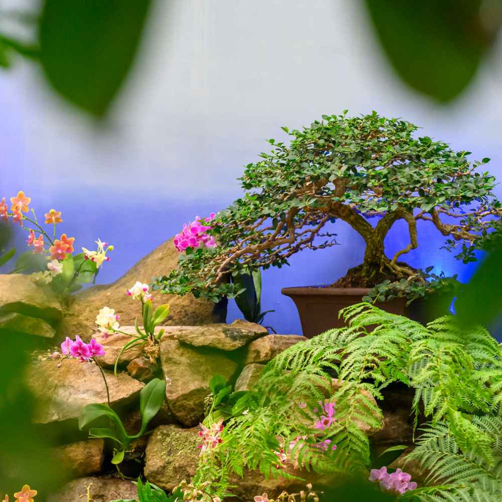 Blog | Phipps Conservatory and Botanical Gardens | Pittsburgh PA