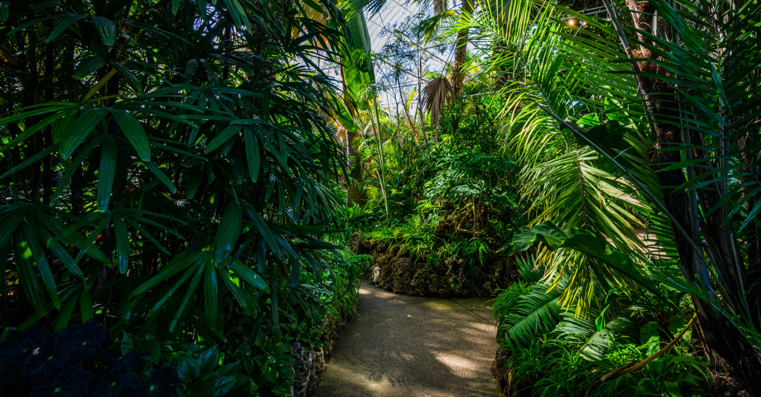 This Week at Phipps: Oct. 20 – 26 | Phipps Conservatory and Botanical ...