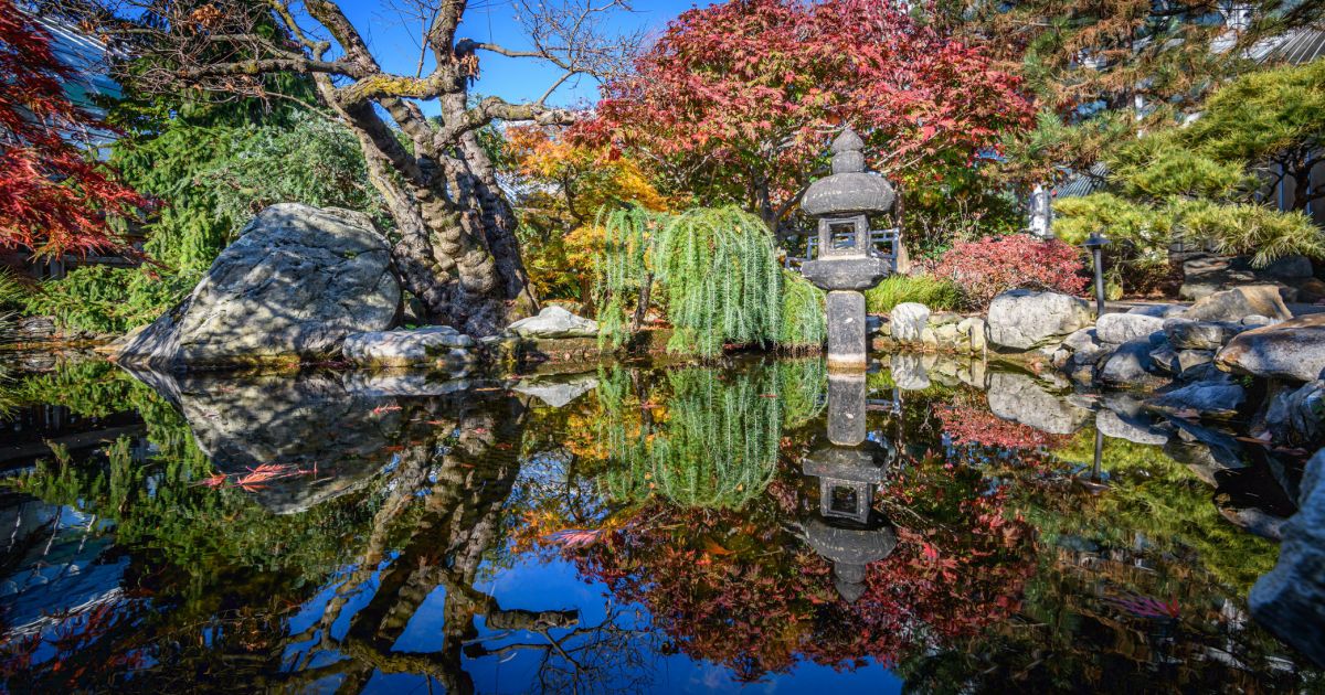 This Week at Phipps: Oct. 27 – Nov. 2 | Phipps Conservatory and ...