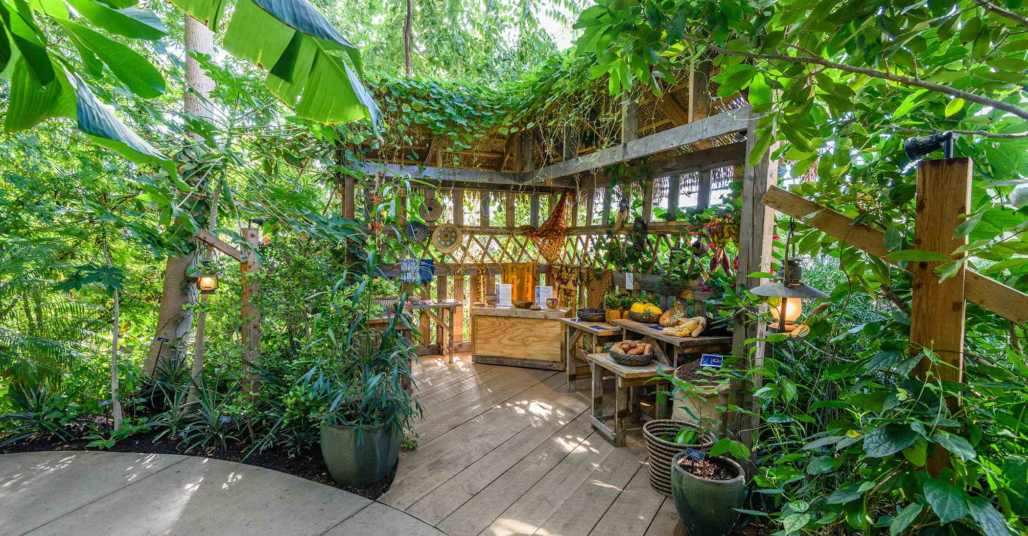 Tropical Forest Congo | Phipps Conservatory and Botanical Gardens ...
