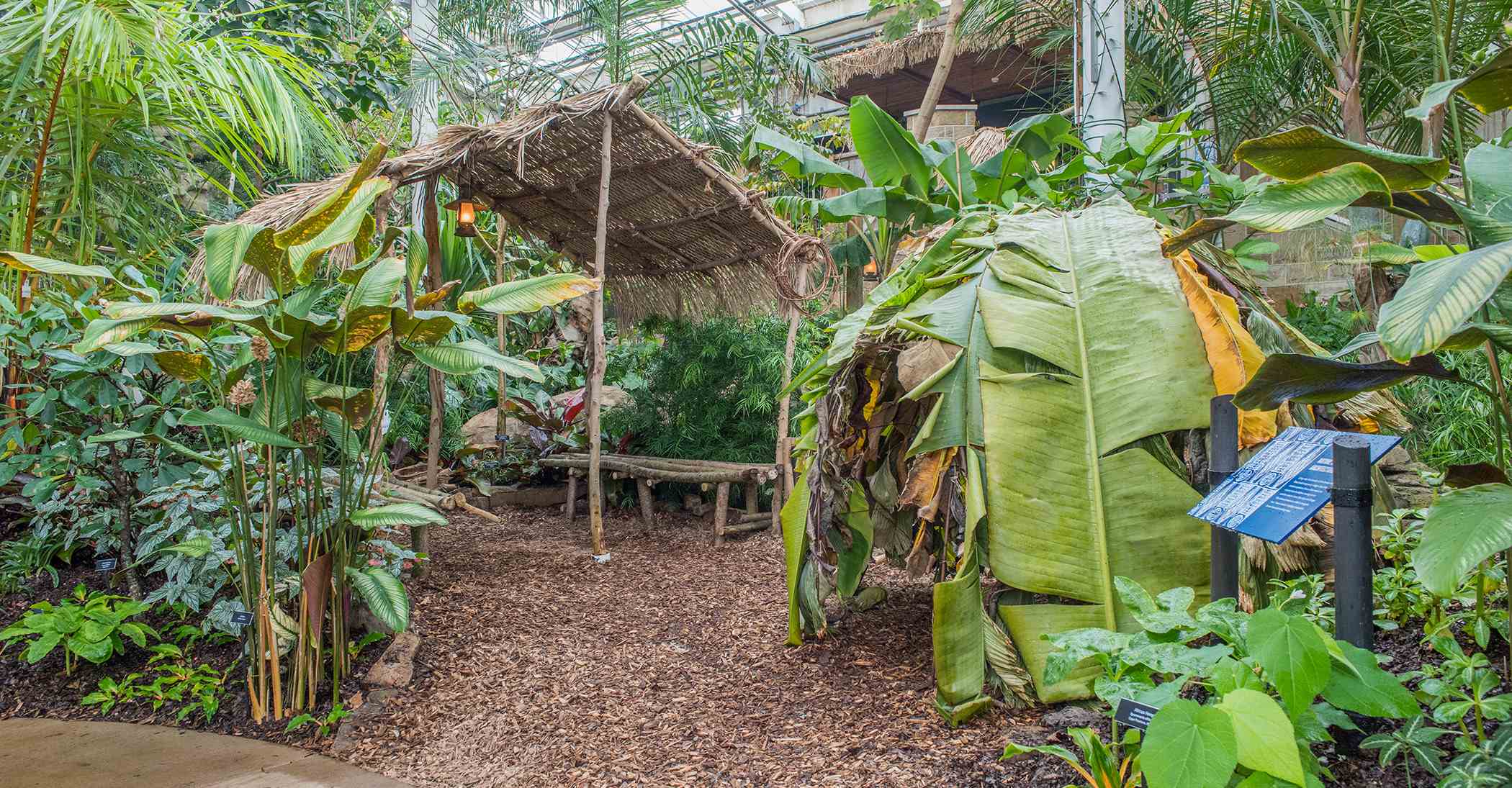 Tropical Forest Congo | Phipps Conservatory and Botanical Gardens ...