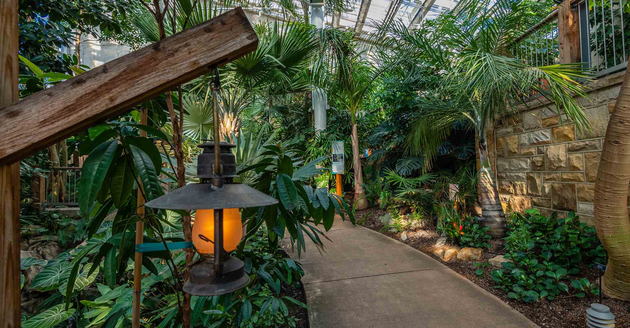 Tropical Forest Cuba | Phipps Conservatory and Botanical Gardens ...