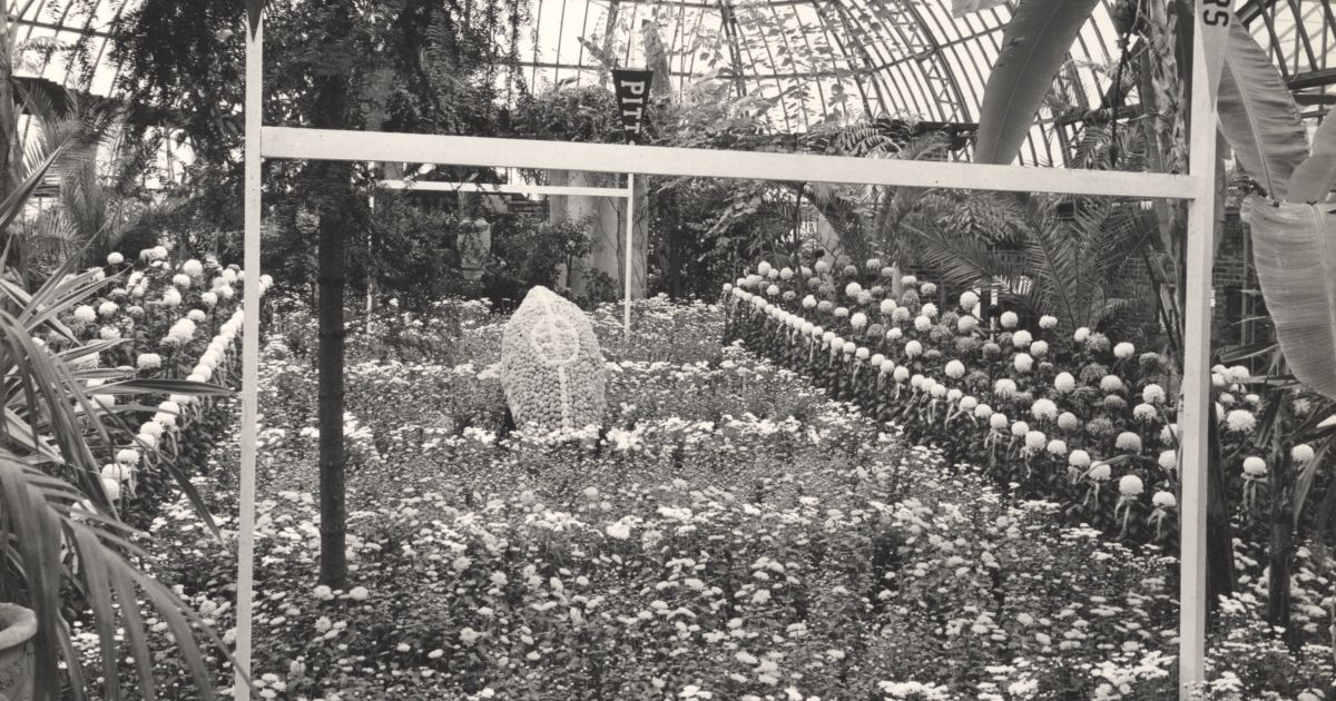 Fall Flower Show 1948 | Phipps Conservatory and Botanical Gardens ...