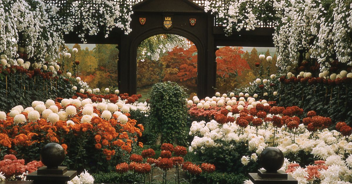 Fall Flower Show 1958 | Phipps Conservatory and Botanical Gardens ...