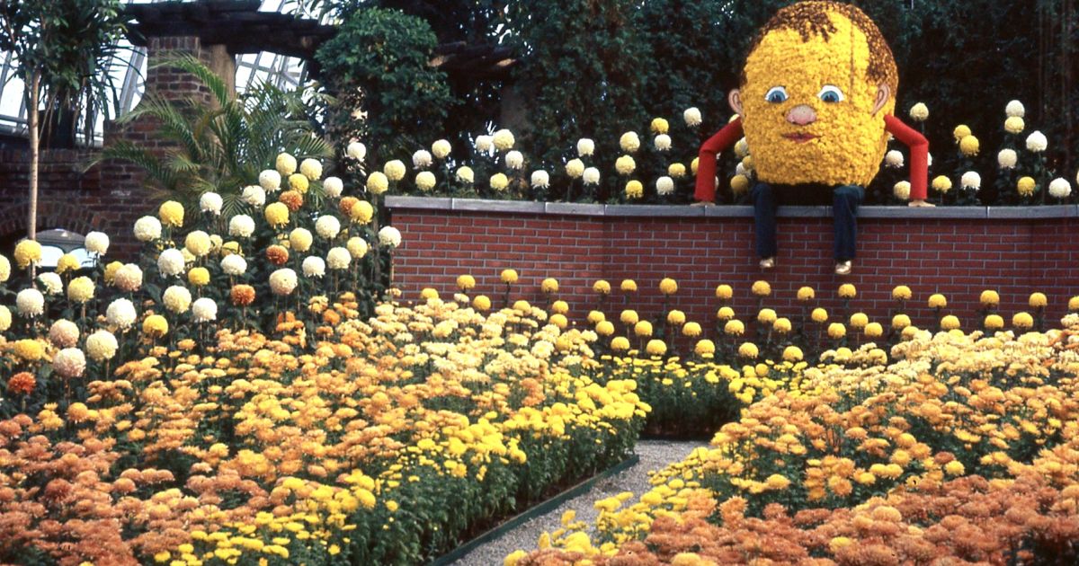 Fall Flower Show 1960 | Phipps Conservatory and Botanical Gardens ...