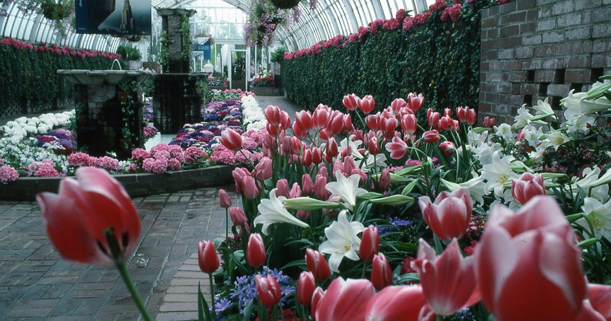 Spring Flower Show 1987 | Phipps Conservatory and Botanical Gardens ...