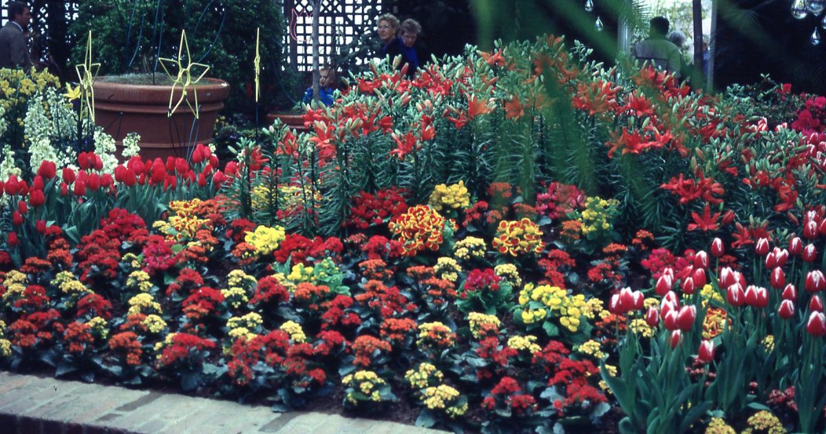 Spring Flower Show 1991: Flowers and Showers | Phipps Conservatory and ...