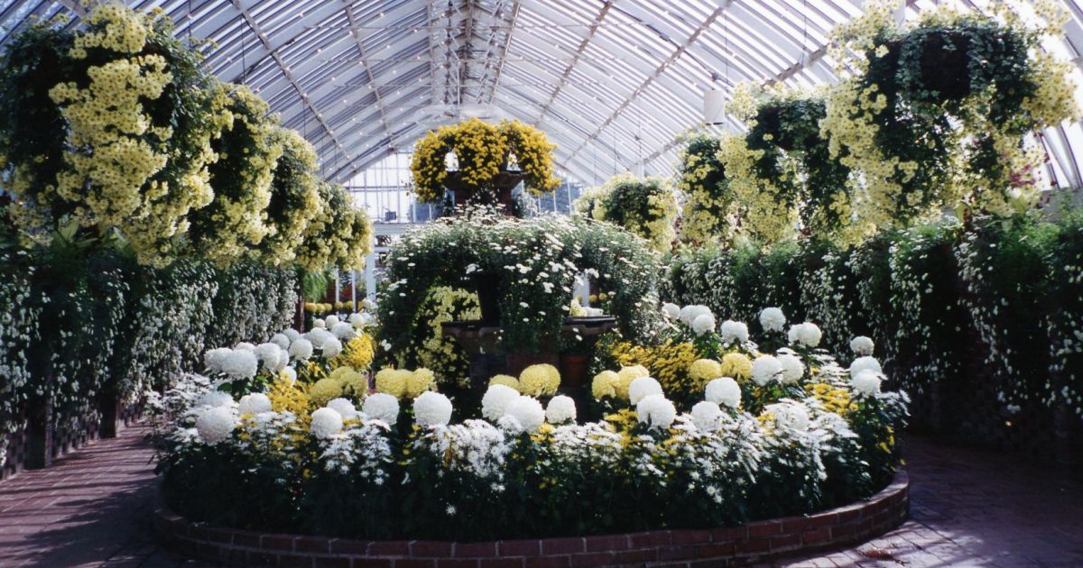 Fall Flower Show 2001: Rhapsody in Bloom | Phipps Conservatory and ...