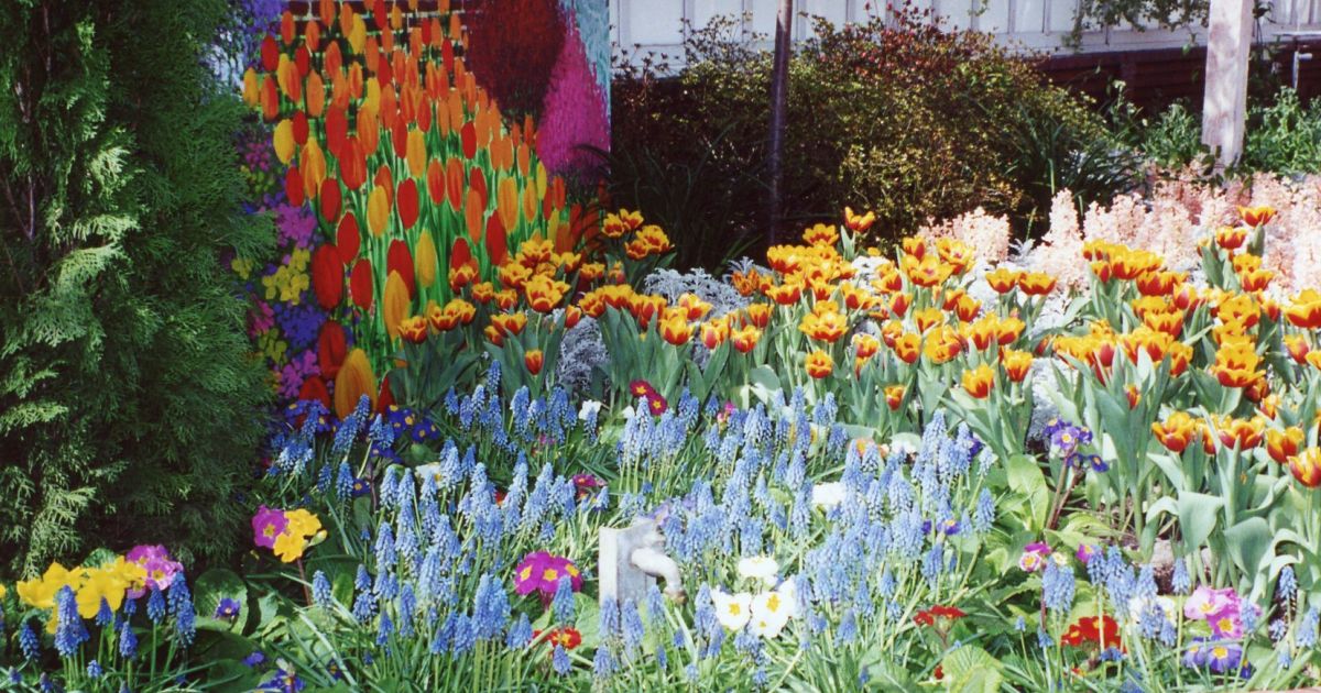 Spring Flower Show 2001: Impressions | Phipps Conservatory and ...