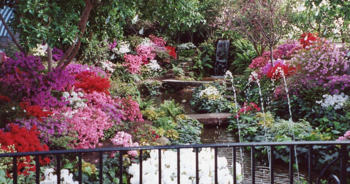 Spring Flower Show 2002: The Colors of Sunlight | Phipps Conservatory ...