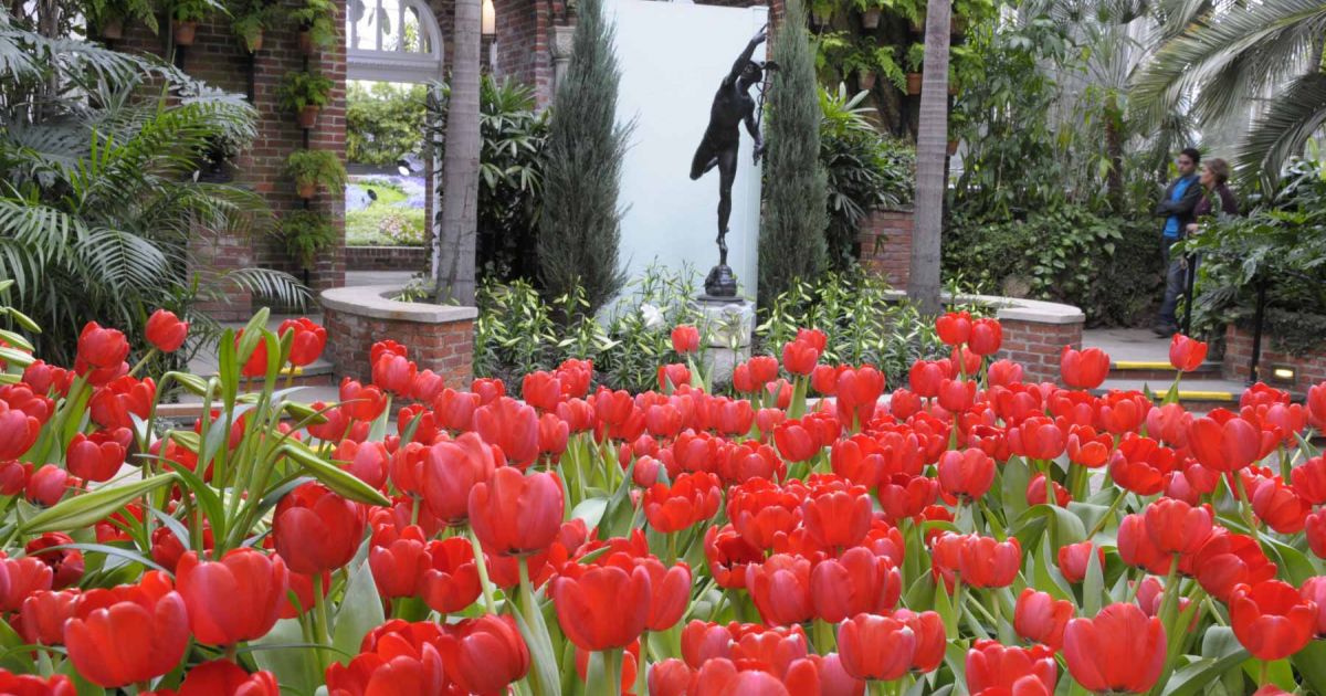 Spring Flower Show 2011 | Phipps Conservatory and Botanical Gardens ...