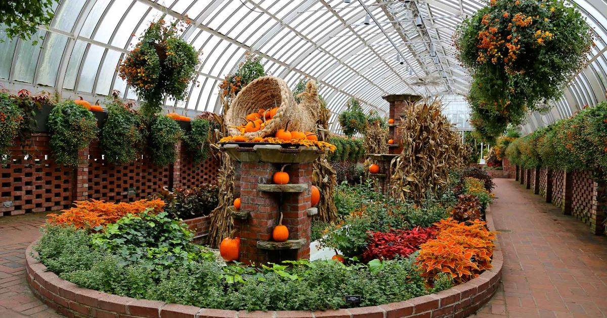 Fall Flower Show 2013 | Phipps Conservatory and Botanical Gardens ...