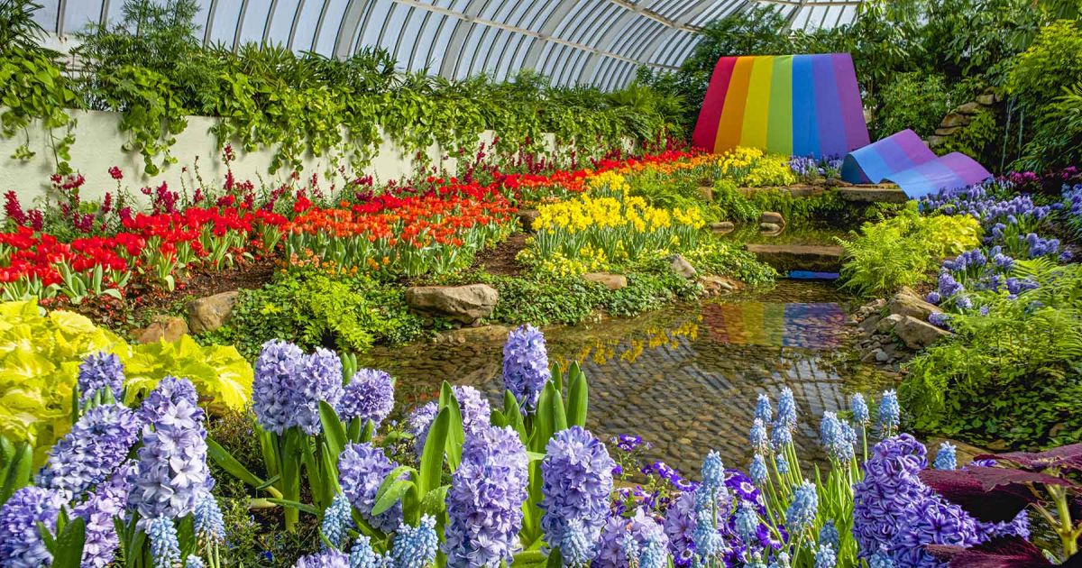 Spring Flower Show 2014: Rhythm and Bulbs | Phipps Conservatory and ...