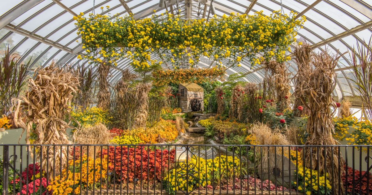 Fall Flower Show 2016: Bask in Nature’s Bounty | Phipps Conservatory ...
