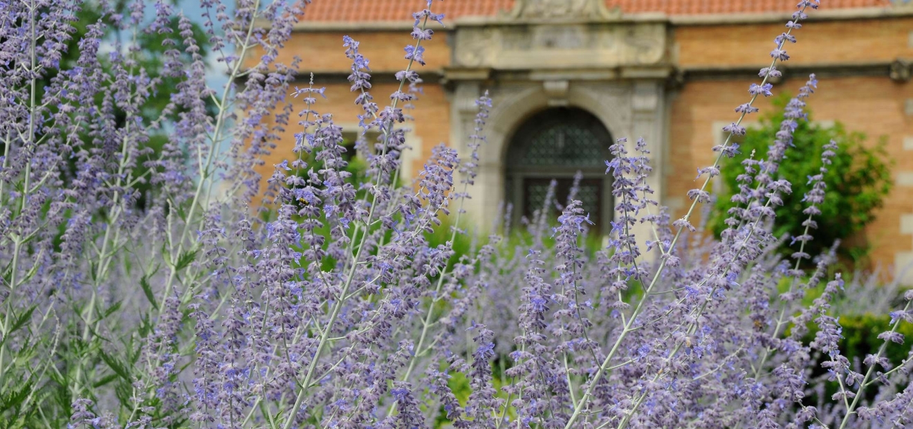 Botany Hall | Phipps Conservatory and Botanical Gardens | Pittsburgh PA
