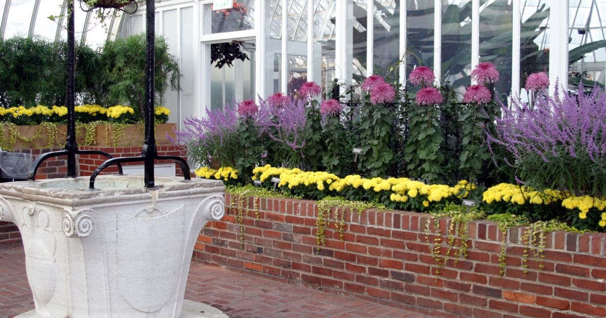 Fall Flower Show 2004: Colors of the Harvest | Phipps Conservatory and ...