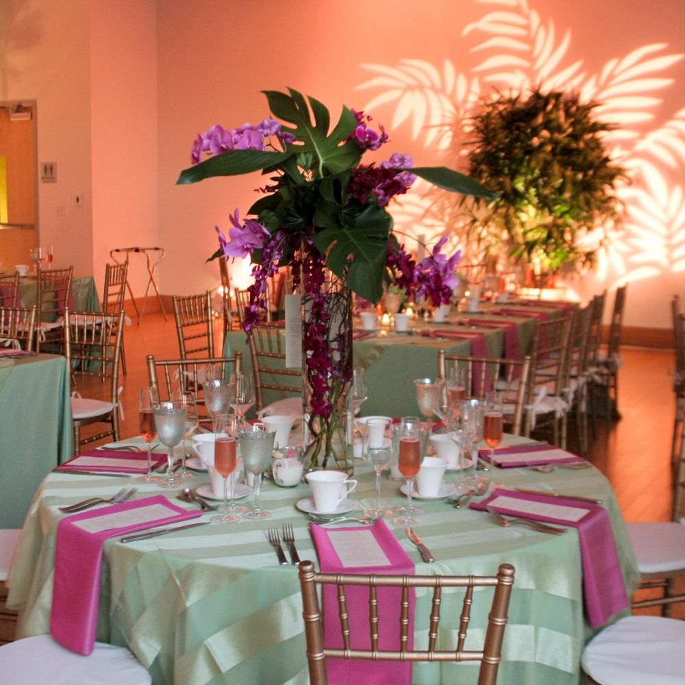 Image Gallery | Phipps Conservatory and Botanical Gardens | Pittsburgh PA