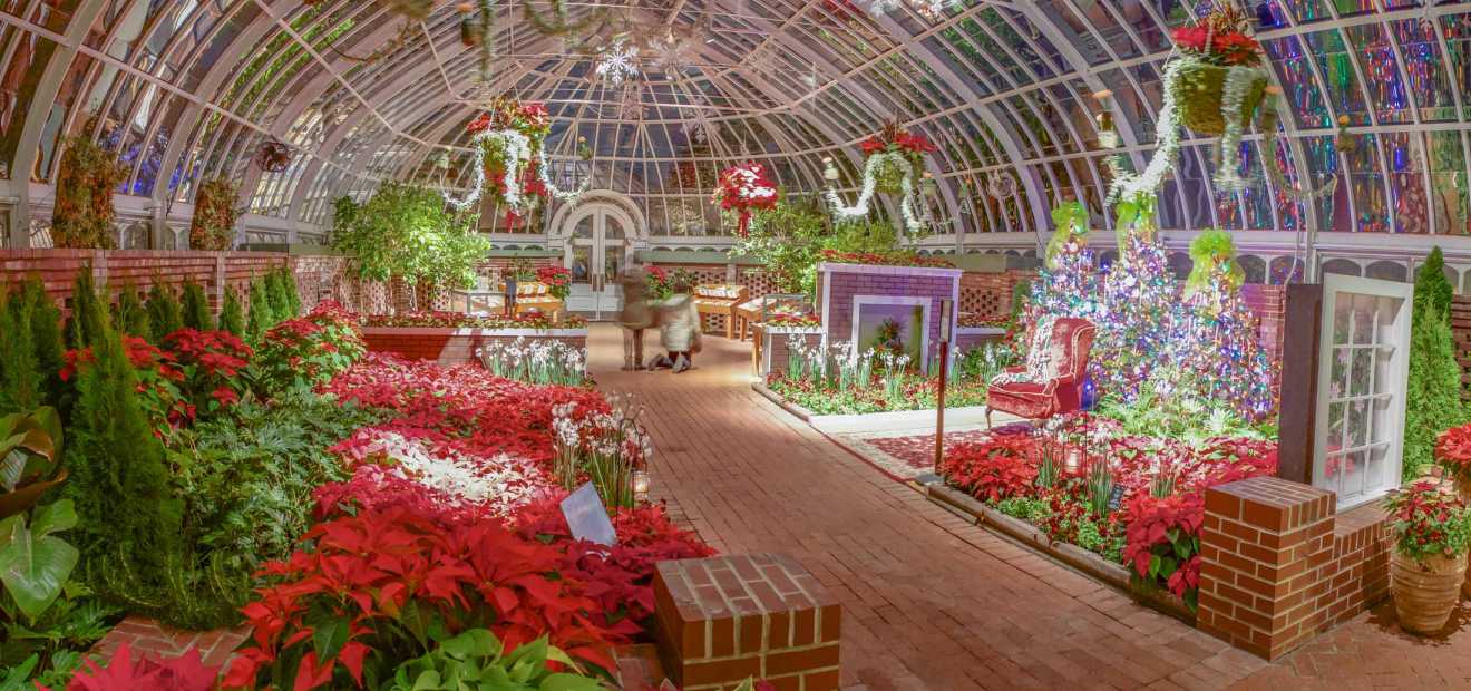 Gallery Room | Phipps Conservatory and Botanical Gardens | Pittsburgh PA