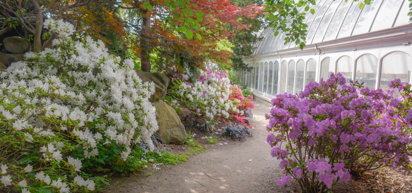 Japanese Courtyard Garden | Phipps Conservatory and Botanical Gardens ...