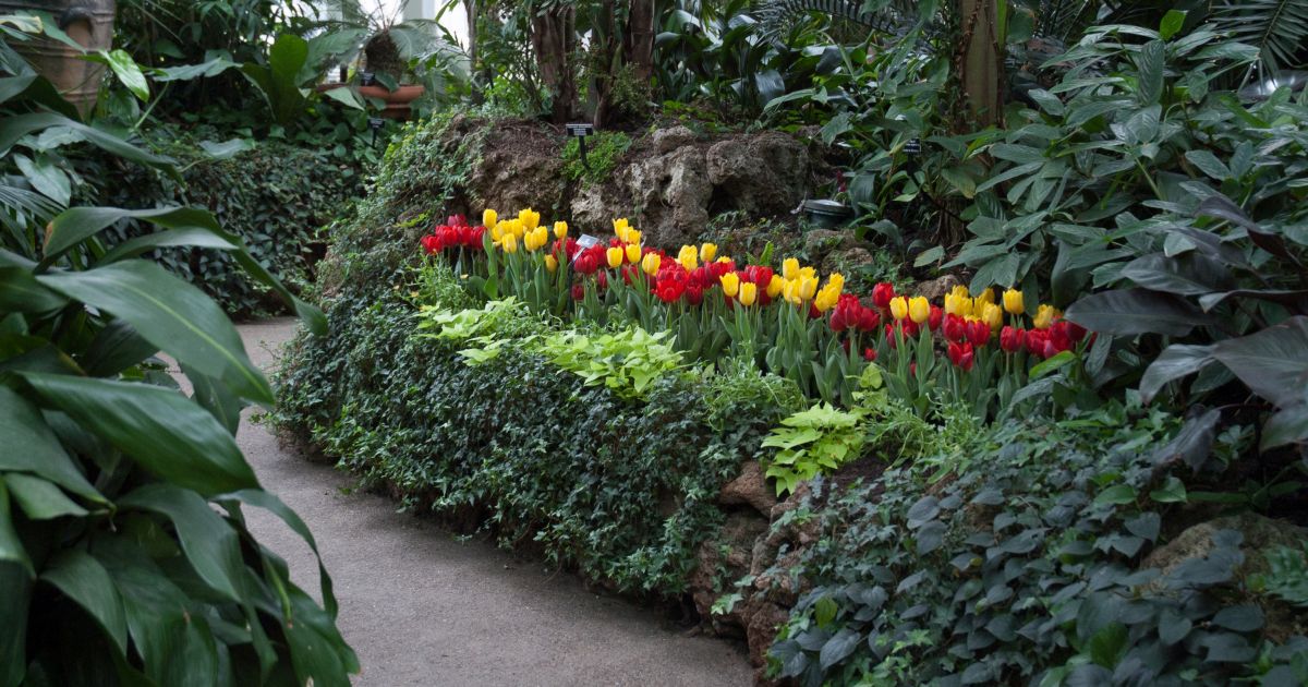 Spring Flower Show 2004: Splashes of Spring | Phipps Conservatory and ...