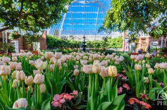 Desktop Wallpapers | Phipps Conservatory and Botanical Gardens ...