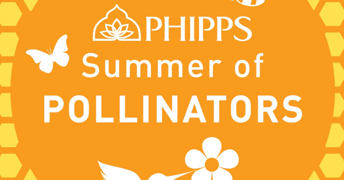 Summer of Pollinators | Phipps Conservatory and Botanical Gardens ...