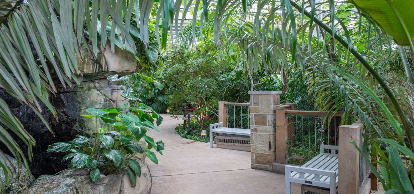 Tropical Forest Conservatory | Phipps Conservatory and Botanical ...