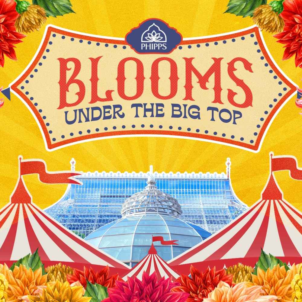 Exhibits and Events | Phipps Conservatory and Botanical Gardens ...