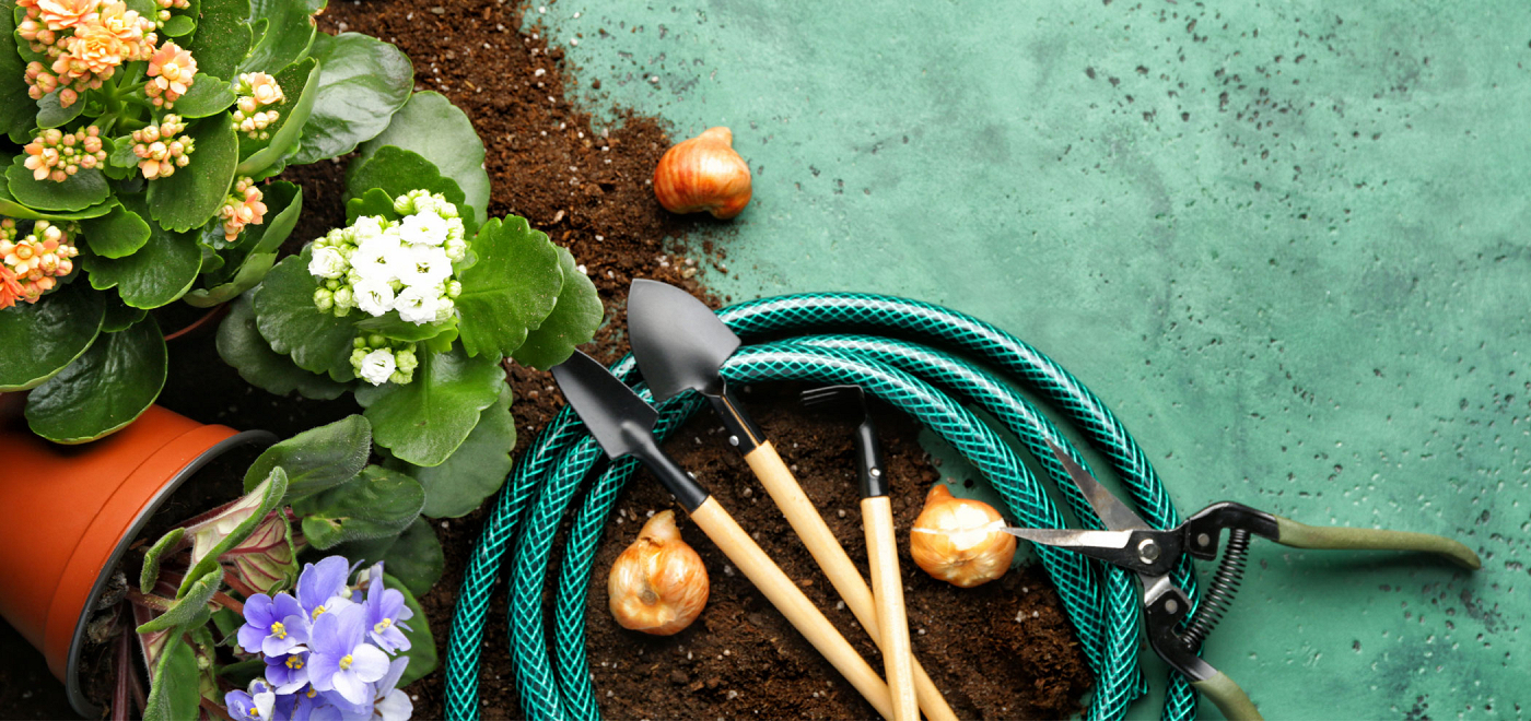 Conquer the Soil: An Evening of Stories with Abra Lee | Phipps ...