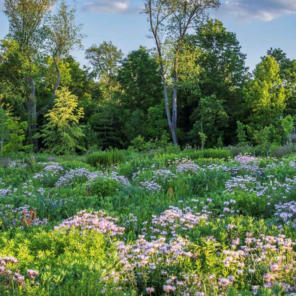 Exhibits and Events | Phipps Conservatory and Botanical Gardens ...