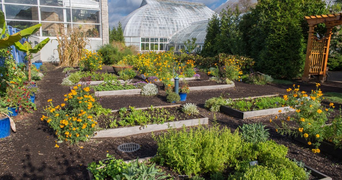 Vegetable Gardening Guide | Phipps Conservatory and Botanical Gardens ...