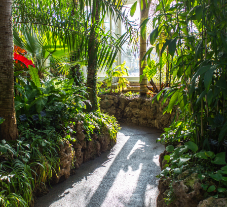 phipps conservatory hours