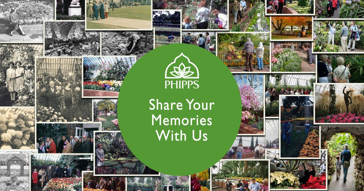 Phipps Memories Gallery | Phipps Conservatory and Botanical Gardens ...