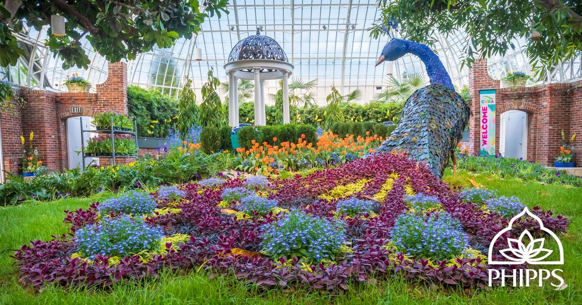 From Spectacular Spring Blooms to Delightful Butterflies, There’s ...